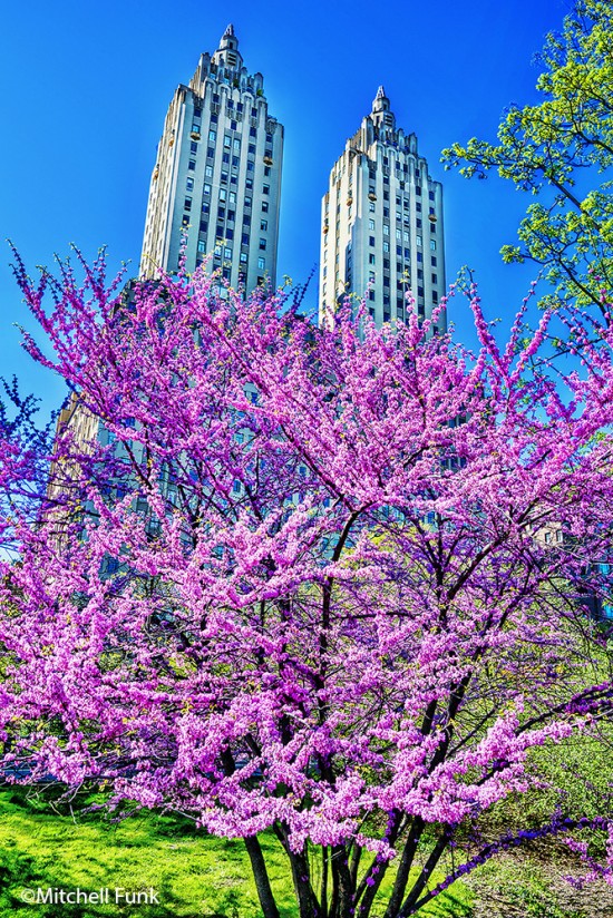 mitchell funk on The Creative Finder