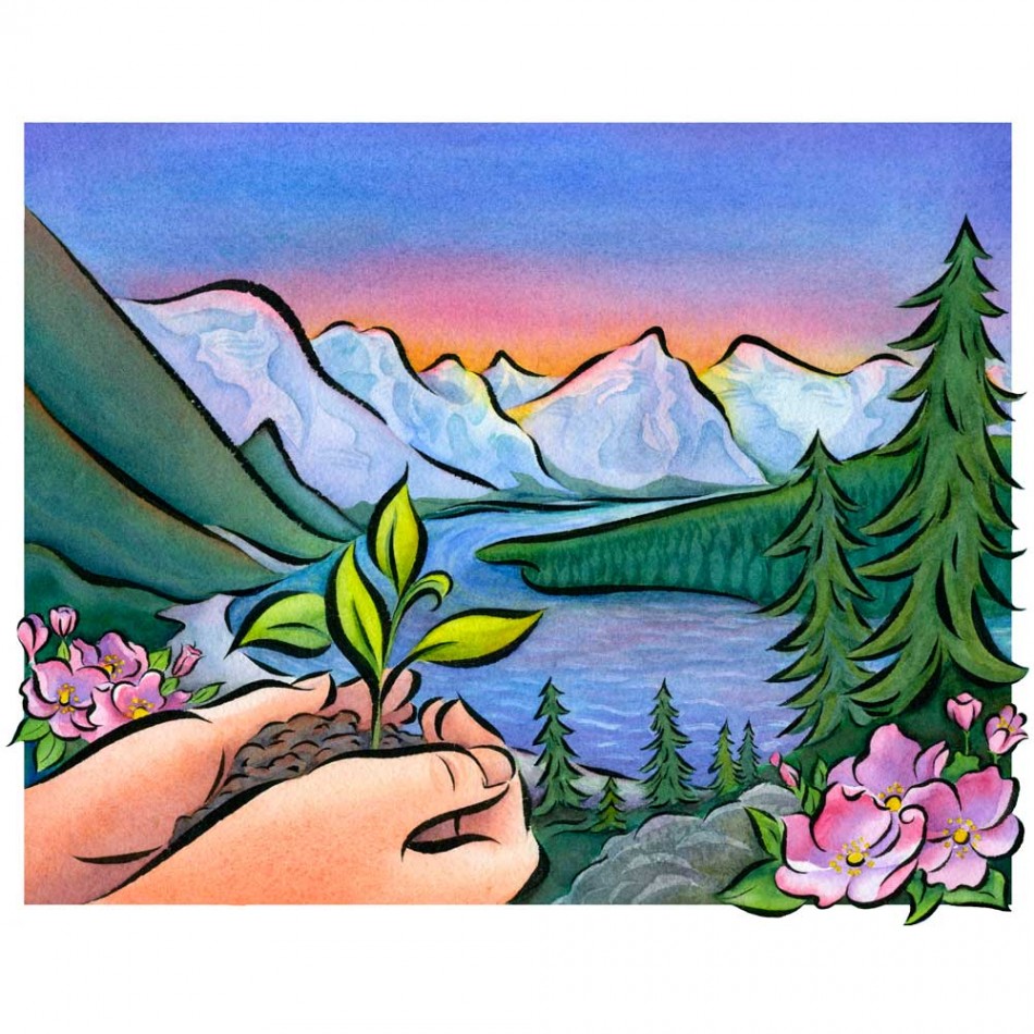 Image by Sandy Haight - Illustration from United States